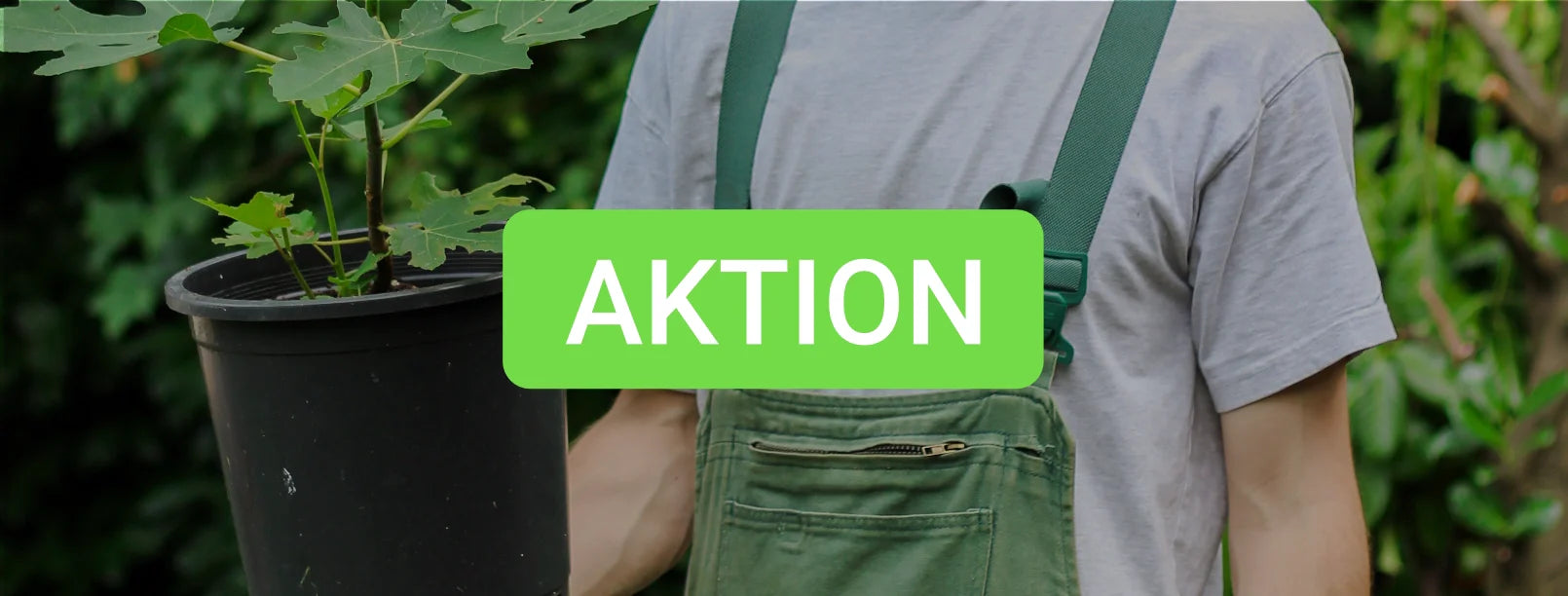 Aktion